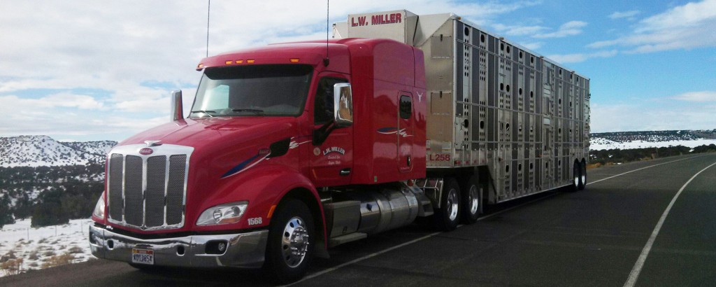 Livestock - LW Miller Companies